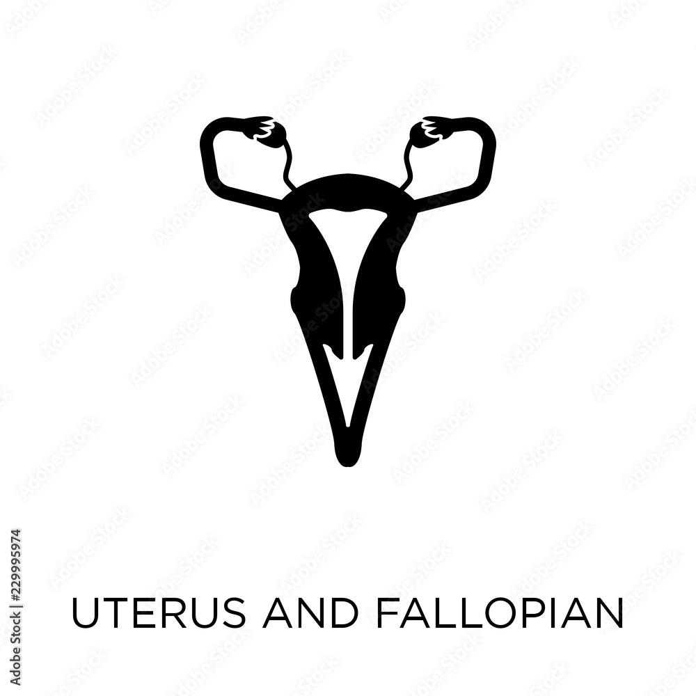 Fallopian Tube Parts