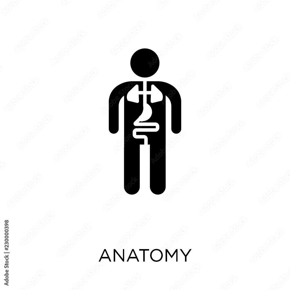 Anatomy Symbol