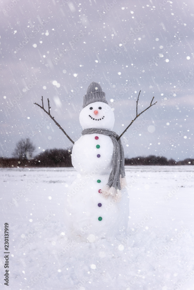 Happy Winter Snowman