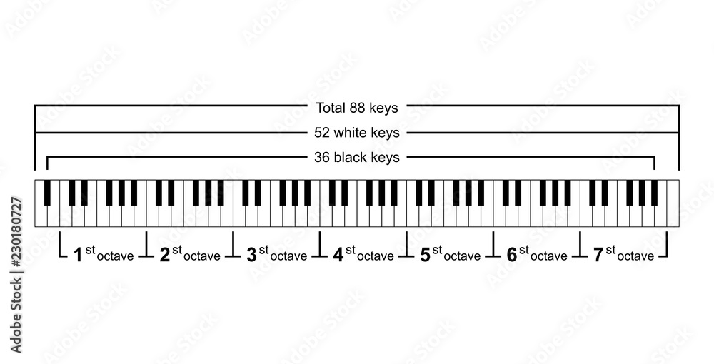 Piano keyboard diagram - piano keyboard layout on white background ...