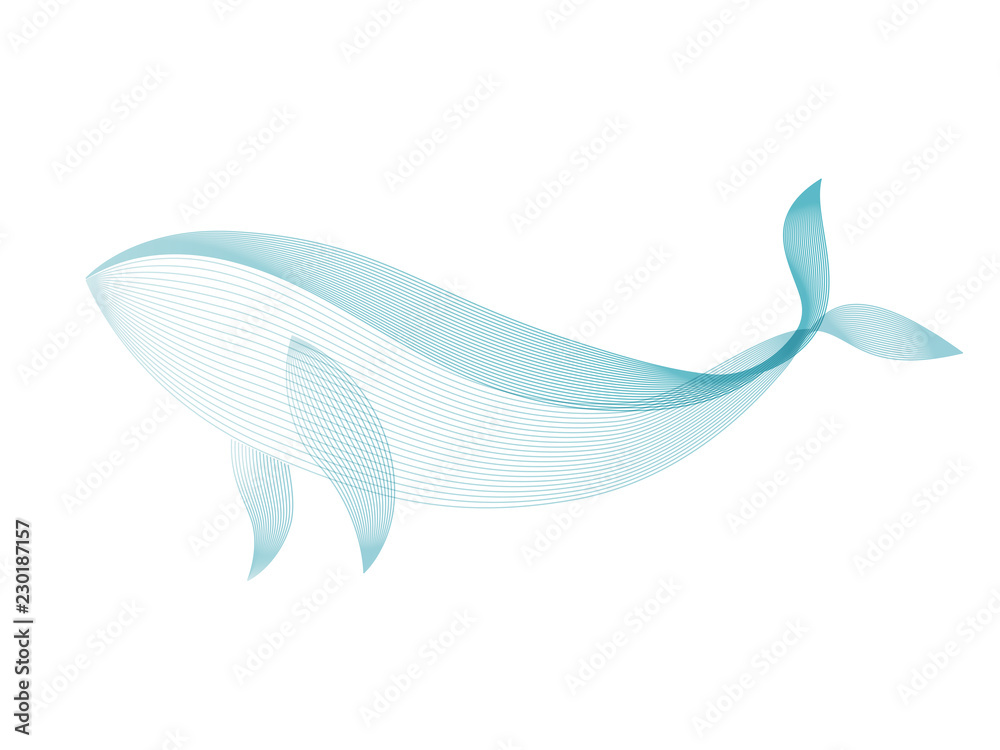 Whale vector illustration create by transparent lines pattern isolated ...