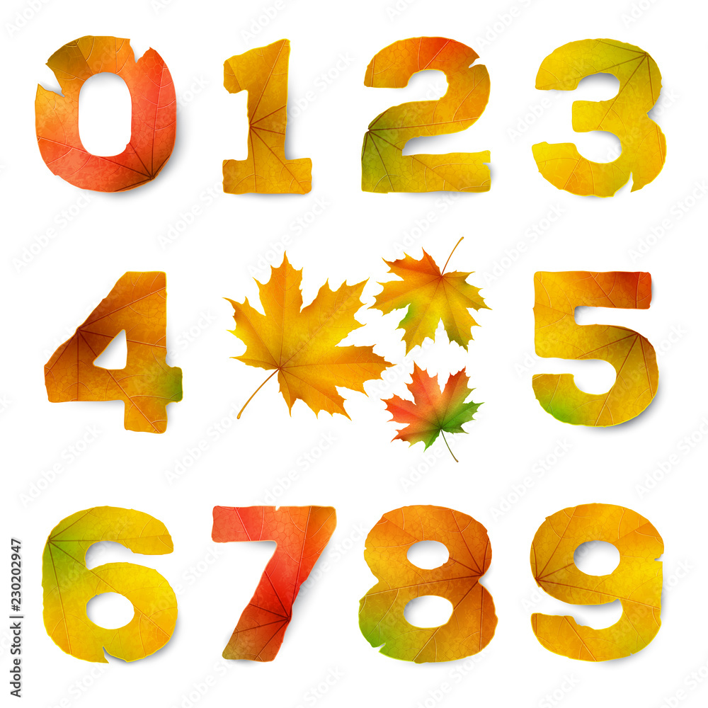 Set of vector numbers made from autumn leaves, isolated on white ...