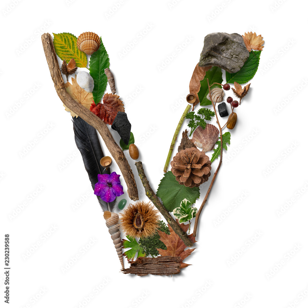 Letter V Found In Nature