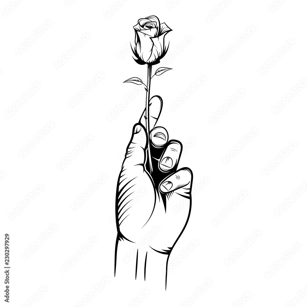 Hand holding a rose flower. Vector Illustration. Stock Vector | Adobe Stock