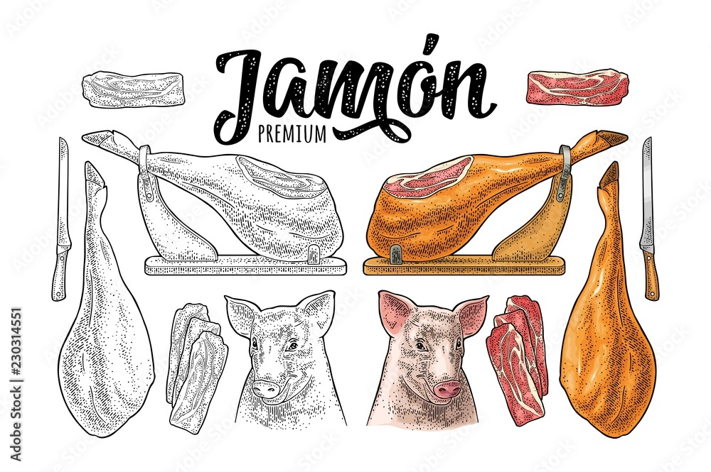Pig head, jamon leg on horizontal wood stand. Vector engraving Stock ...