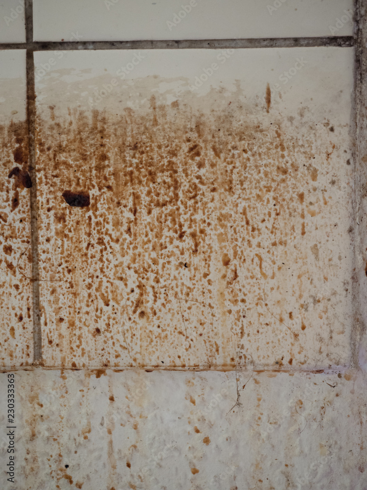 Grease spots and dirt stains on wall paper and tiles in old, filthy ...