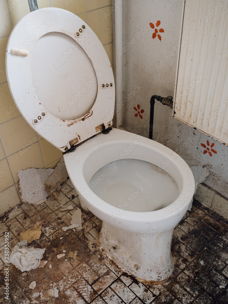 Filthy, broken and rotten toilet in demolished bathroom before ...