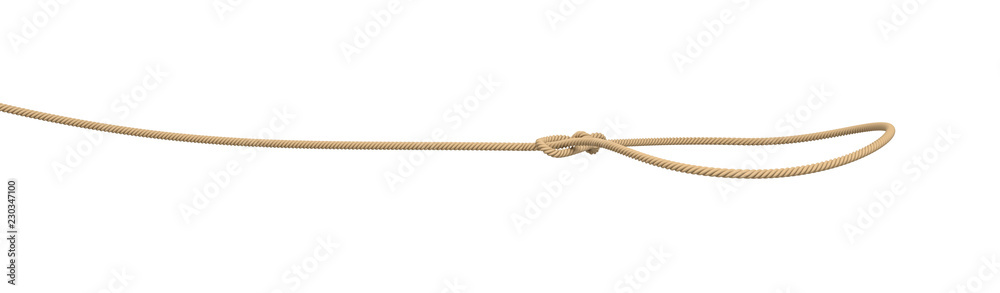 3d rendering of a rope tied in a lasso and flying on a white background ...