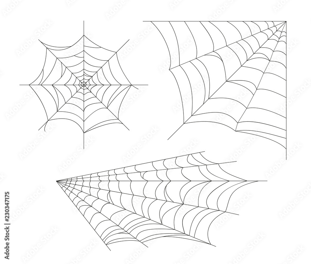 Vector Spider Web Design