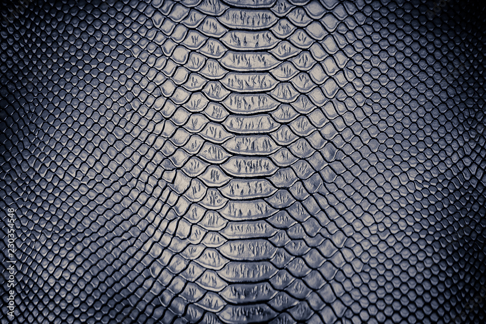 Luxury snake skin texture Stock Photo | Adobe Stock