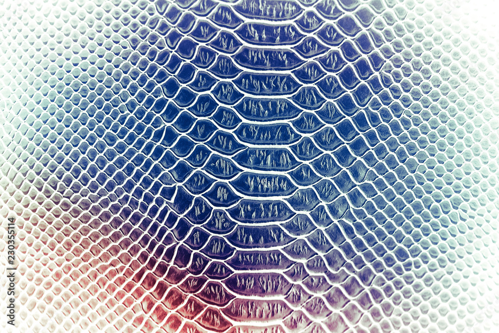 Luxury snake skin texture Stock Photo | Adobe Stock