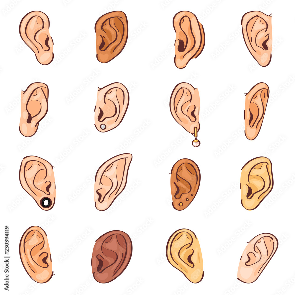 Ear vector human eardrum ear rope hearing sounds or deafness and ...