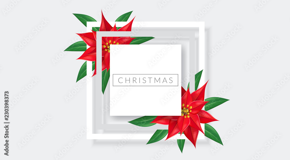 Geometric Christmas text frame with red poinsettia flower and green ...