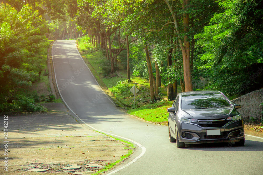 Cars running on the road with a roadside tree and morning light shines ...
