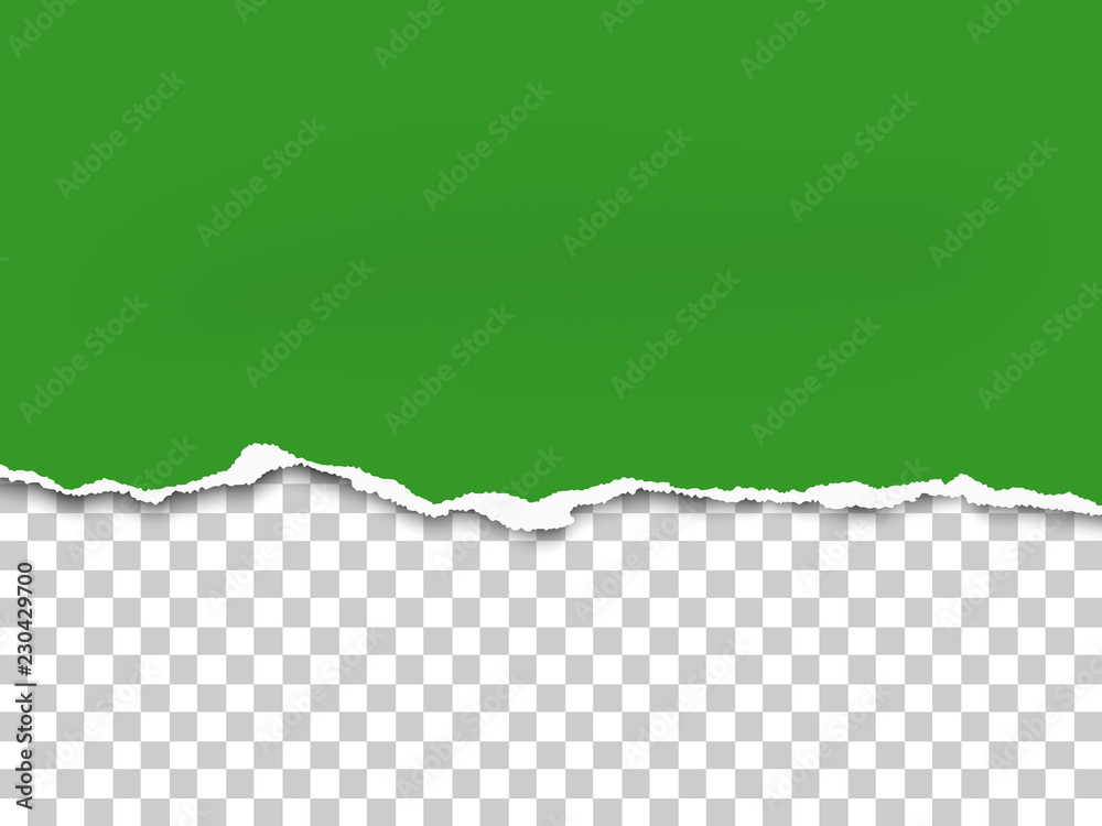Torn a half sheet of green paper from the bottom. Vector template paper ...