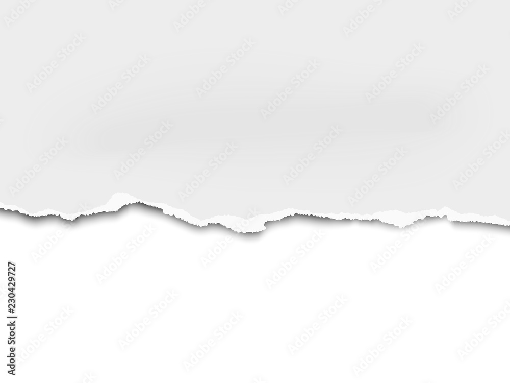 Torn a half sheet of white paper from the bottom. Vector template paper ...