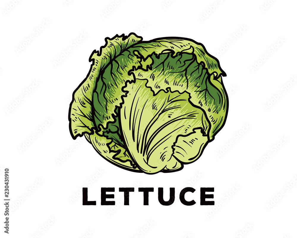 Lettuce Logo