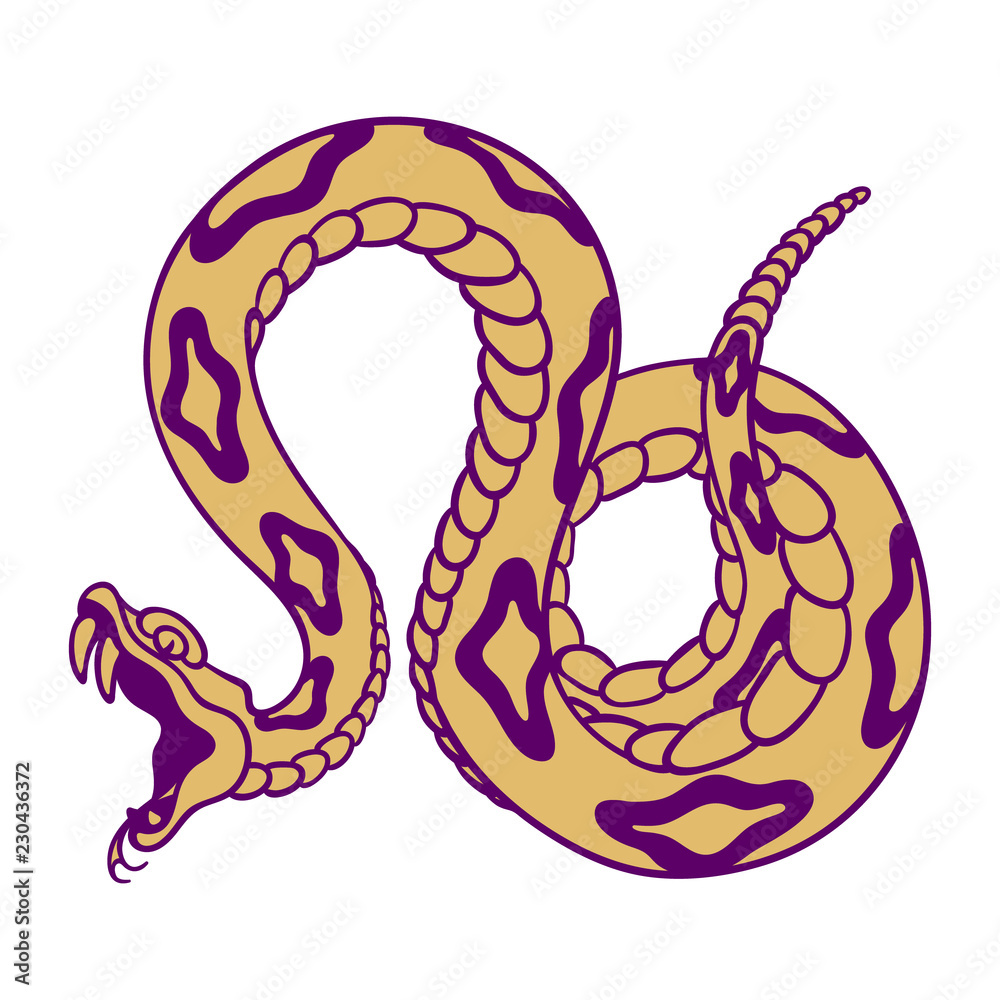 Rattlesnake hand drawn vector illustration. Good for posters, stickers ...