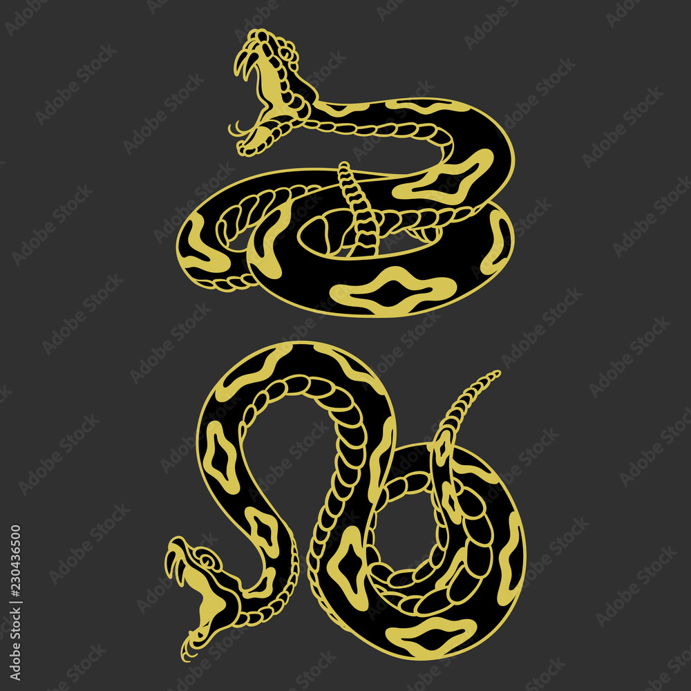 Set of rattlesnakes. Hand drawn lineart vector illustration. Can be ...