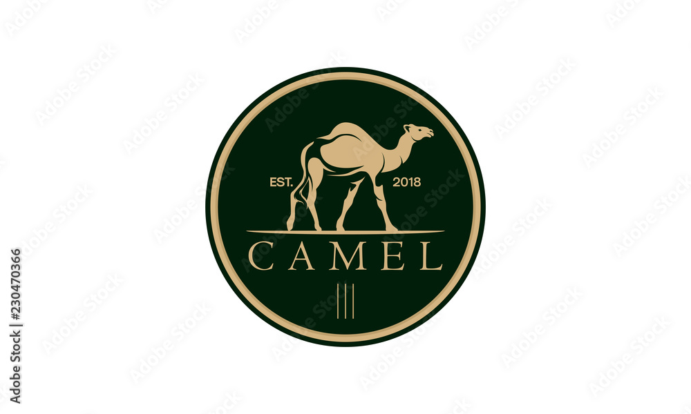 camel logo design template,vintage camel vector illustration Stock ...