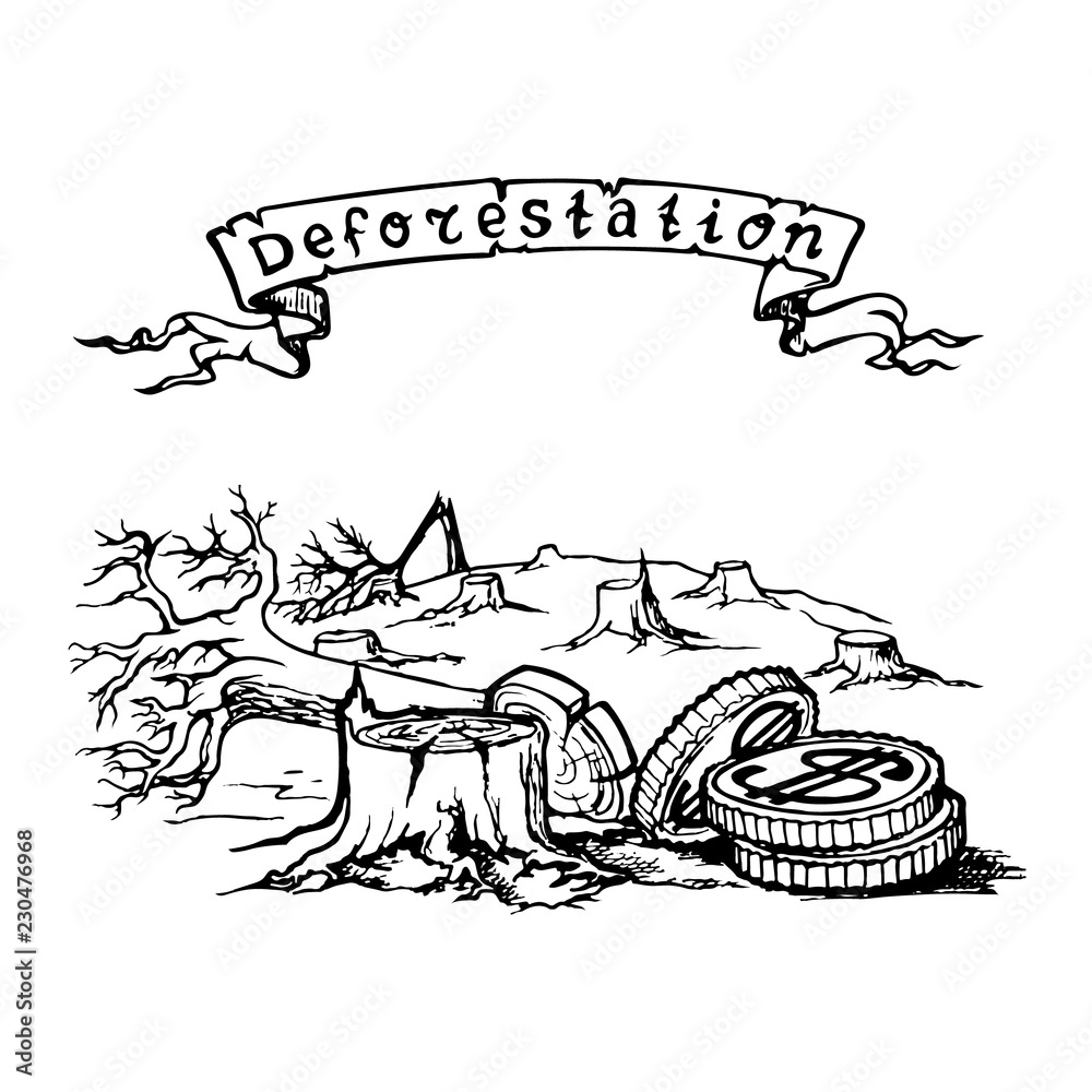 Deforestation caused by international corporations in the third world ...