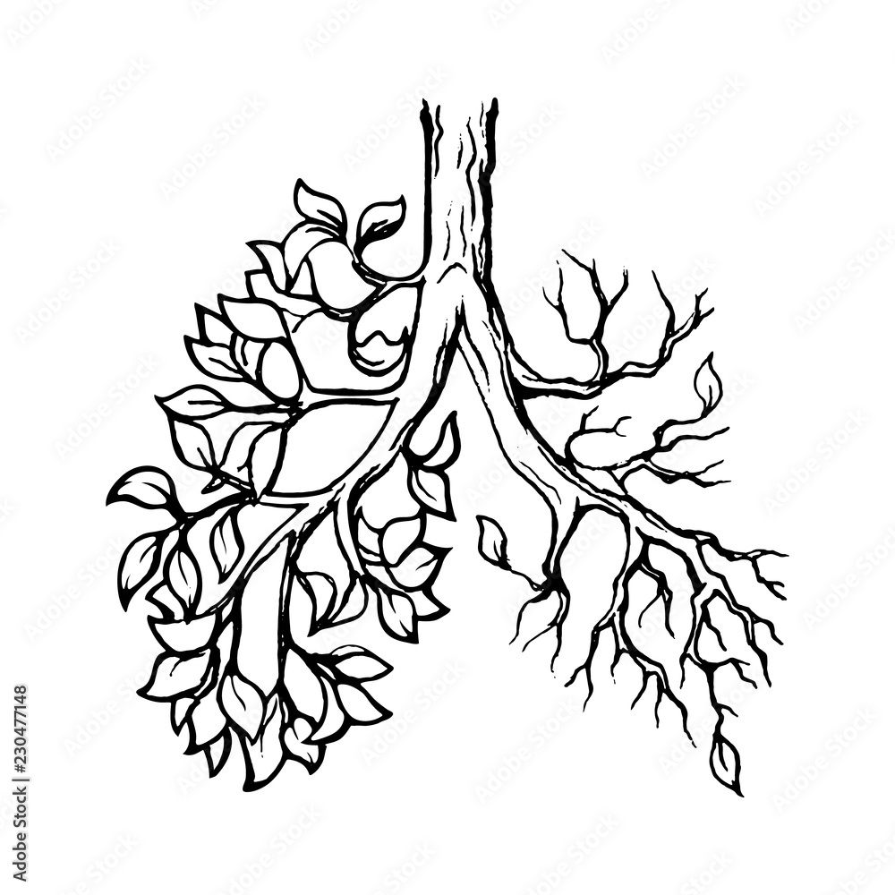 Environmental Problems Drawing