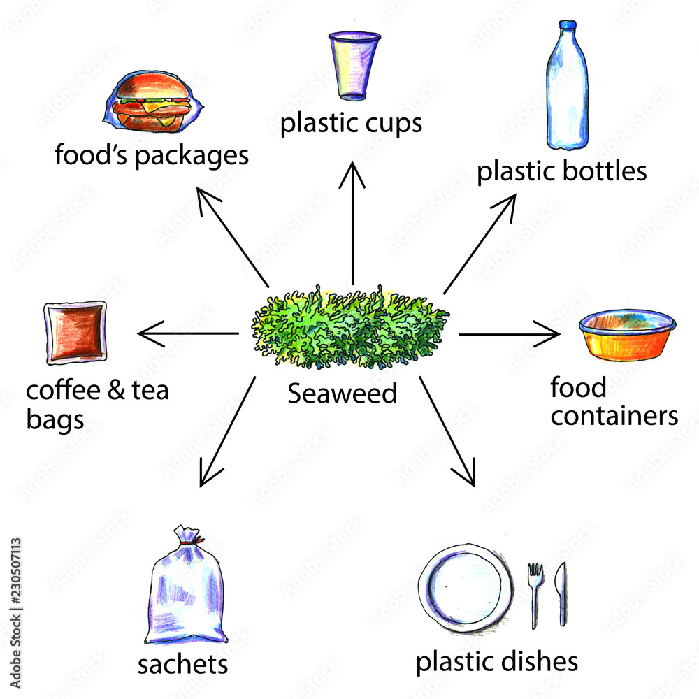 Bioplastic products examples from seaweed. Seaweed replace plastic ...