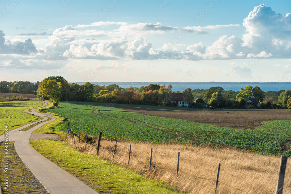 Rural area as typical part of the Rügen island in the north of Germany ...