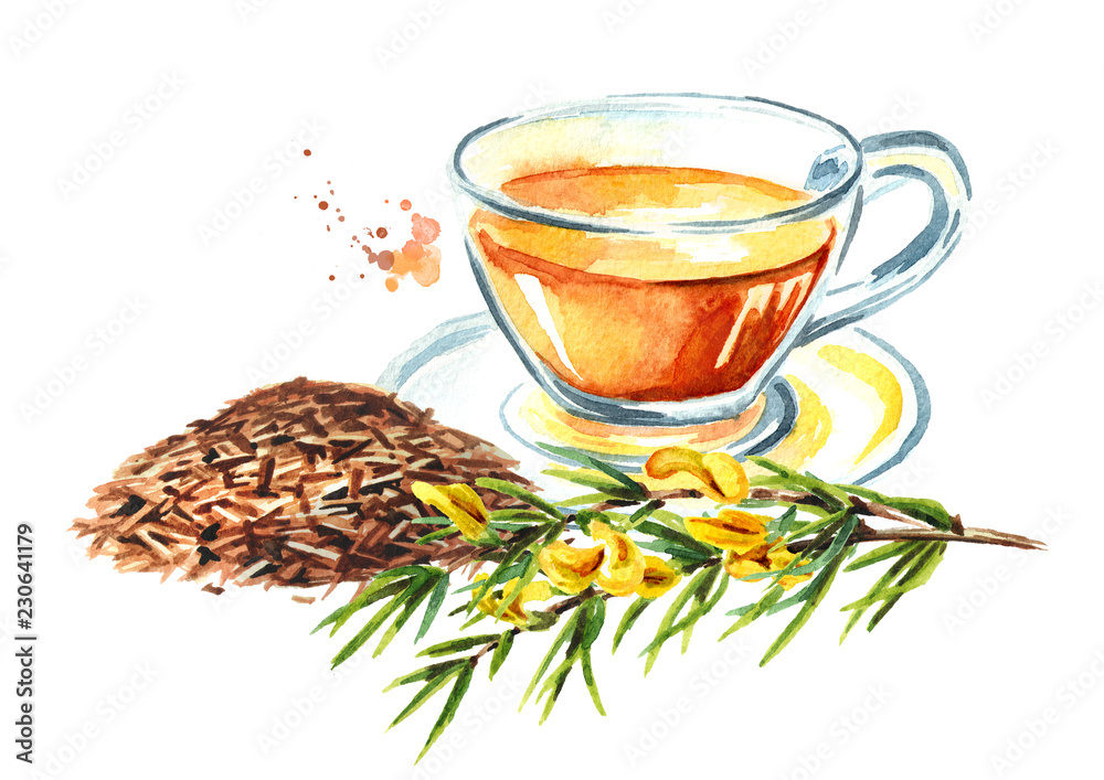 Heap of dry rooibos healthy organic tea and glass cup with branch of ...