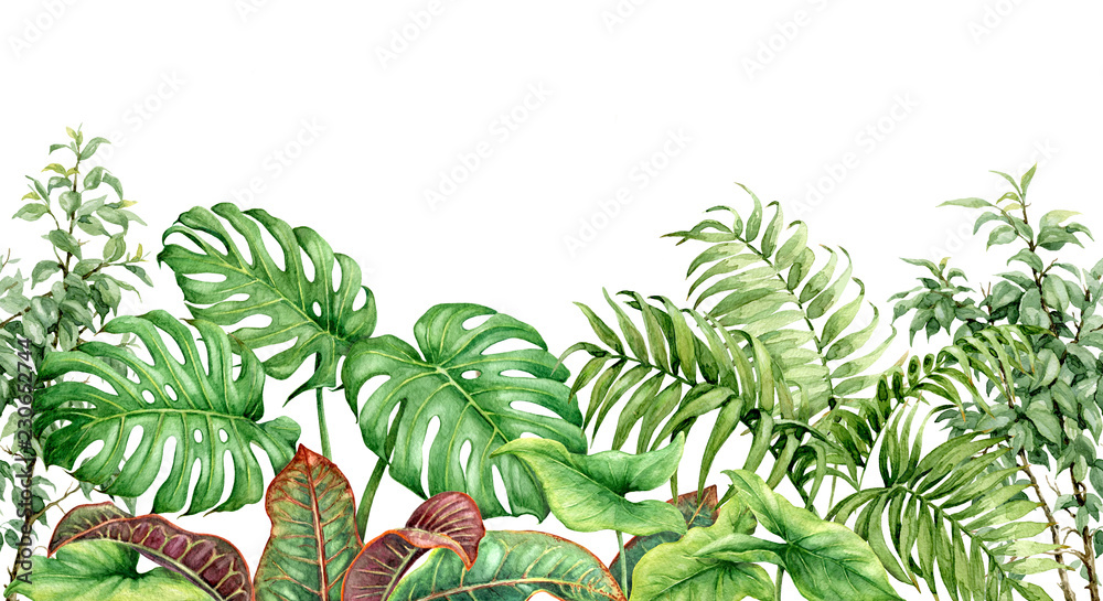 Watercolor Tropical Plants Seamless Border Stock Illustration | Adobe Stock