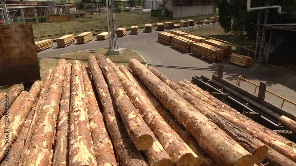 Production of timber from wood. A lumber mill detail showing a log ...