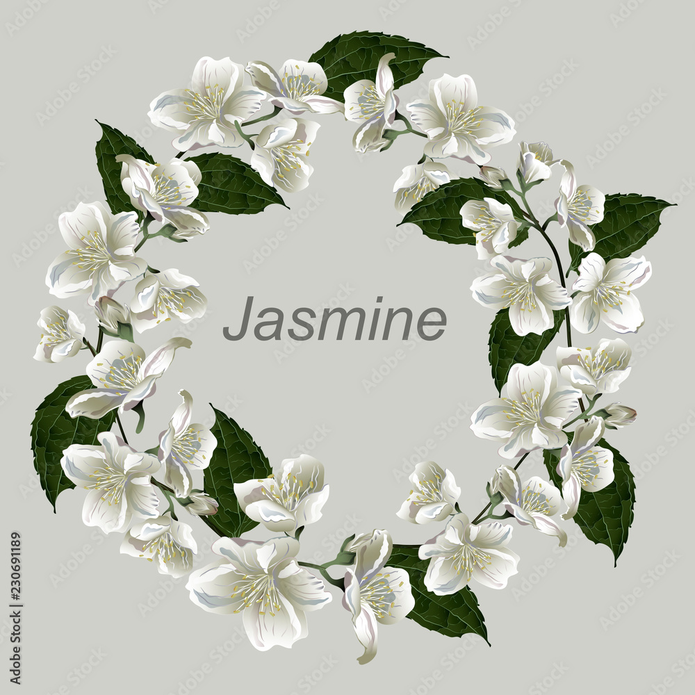 Vector vintage floral wreath with jasmine flowers. Template for ...