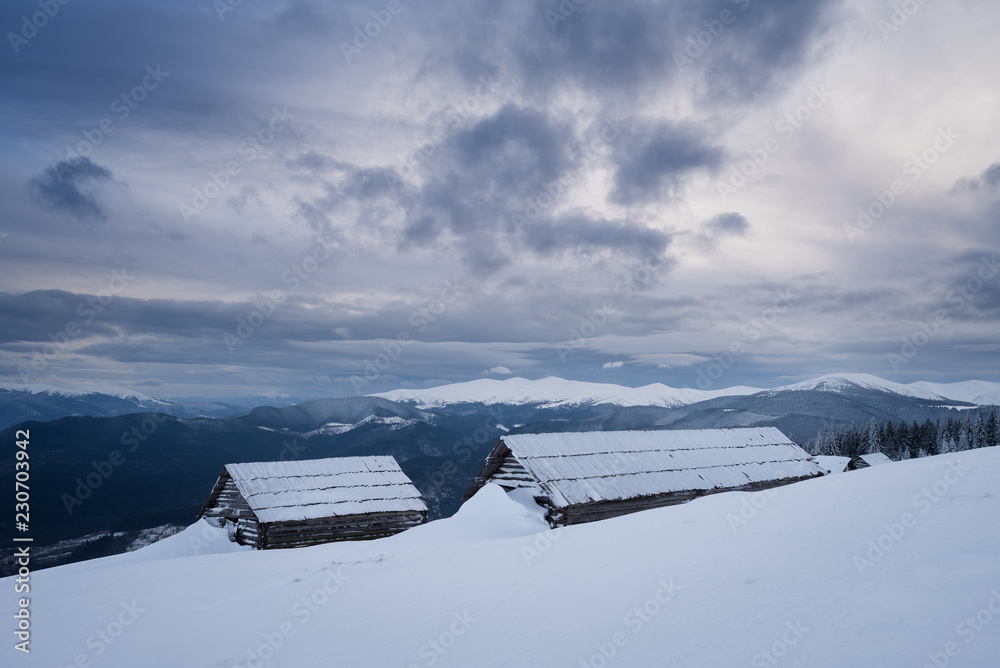 Harsh winter weather in the mountains Stock Photo | Adobe Stock