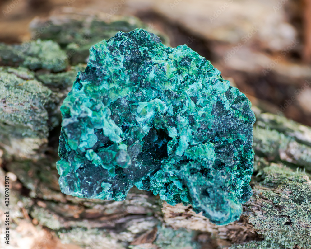 Dark green fibrous malachite cluster from Shaba Province, Zaire.On a ...
