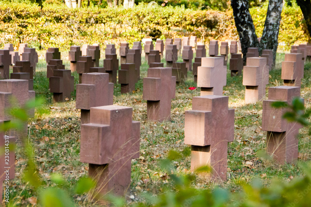 Poster German world war two memorial cemetery with crosses – Wall Art ...