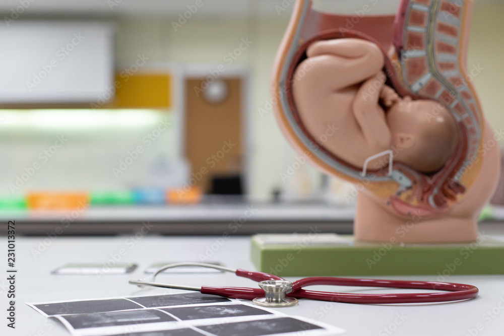 Ultrasound of baby in pregnant woman, Doctor reading test results of ...