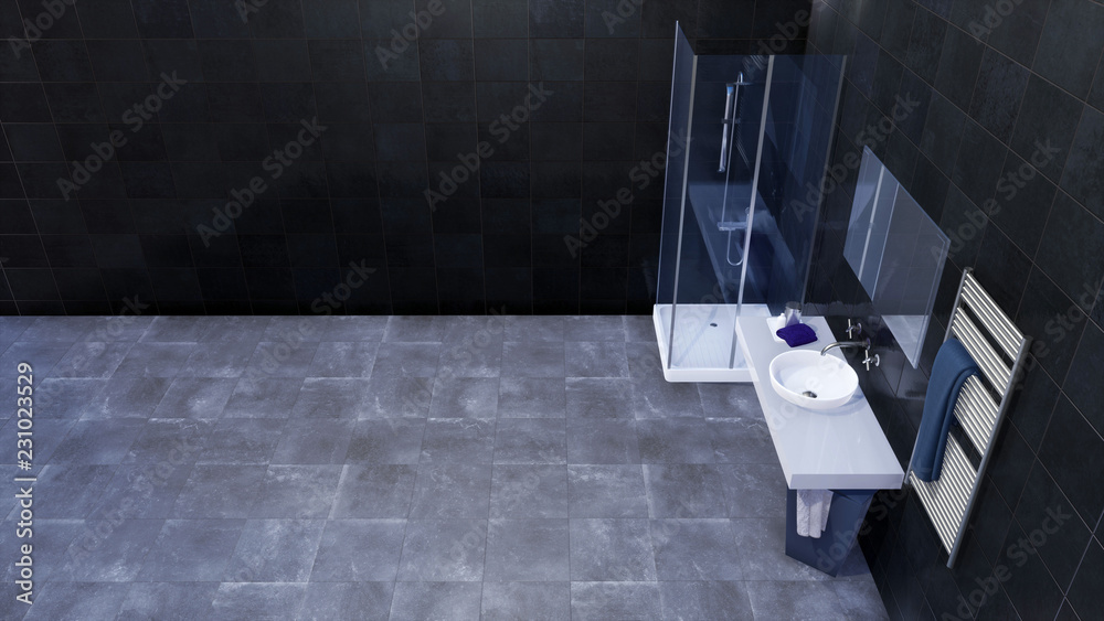 Overhead view of modern minimalist bathroom interior with simple glass ...