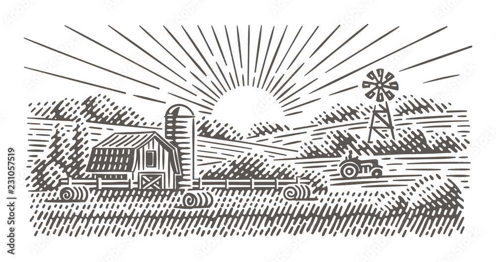 Rustic Landscape illustration. Vector, isolated. Stock Vector | Adobe Stock