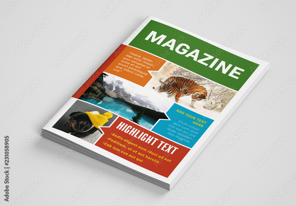Colorful Magazine Layout Stock Template | Adobe Stock
