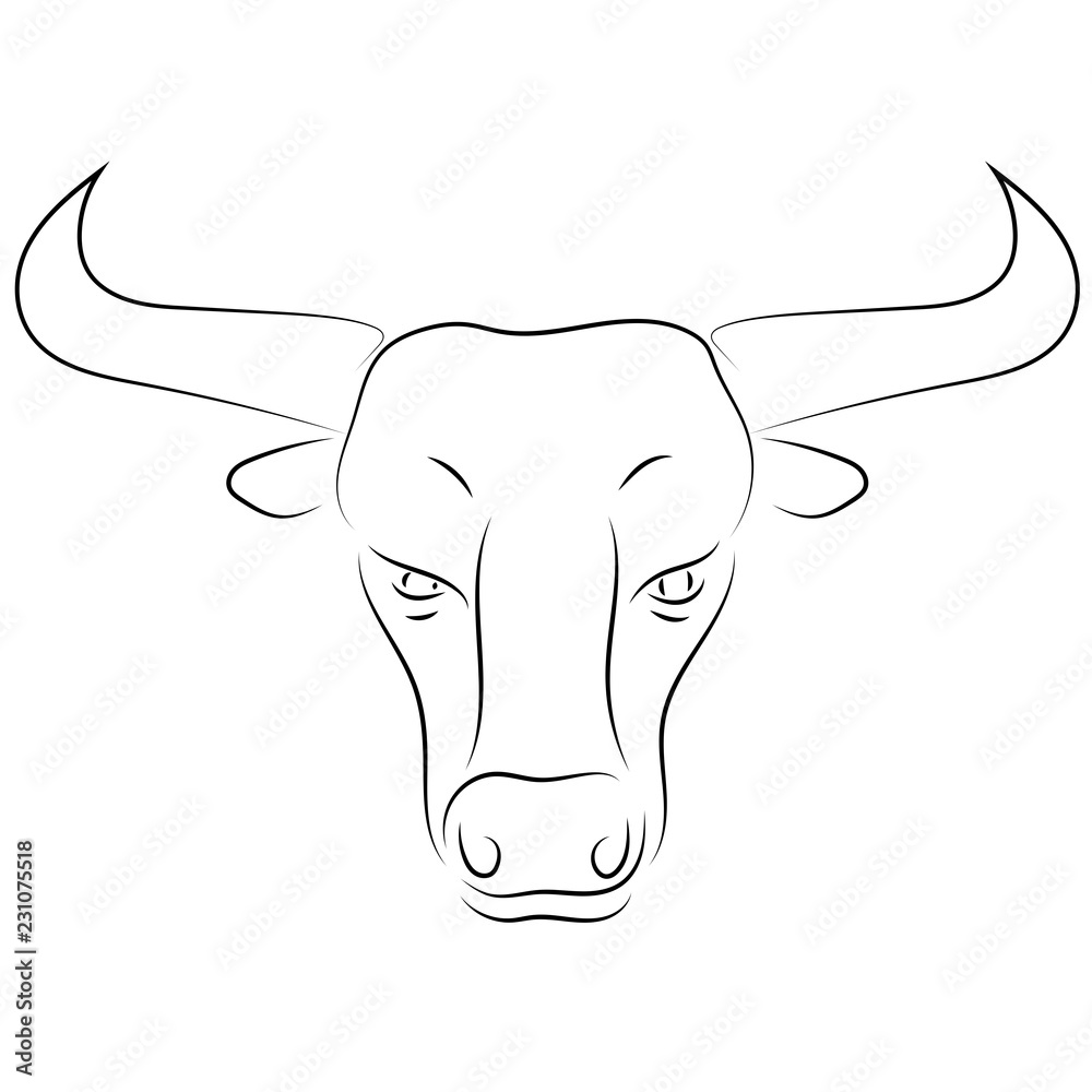 Black line bull head on white background. Hand drawing vector. Sketch ...