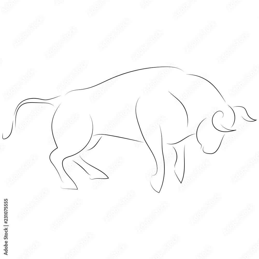 Black line attacking bull on white background. Hand drawing vector ...