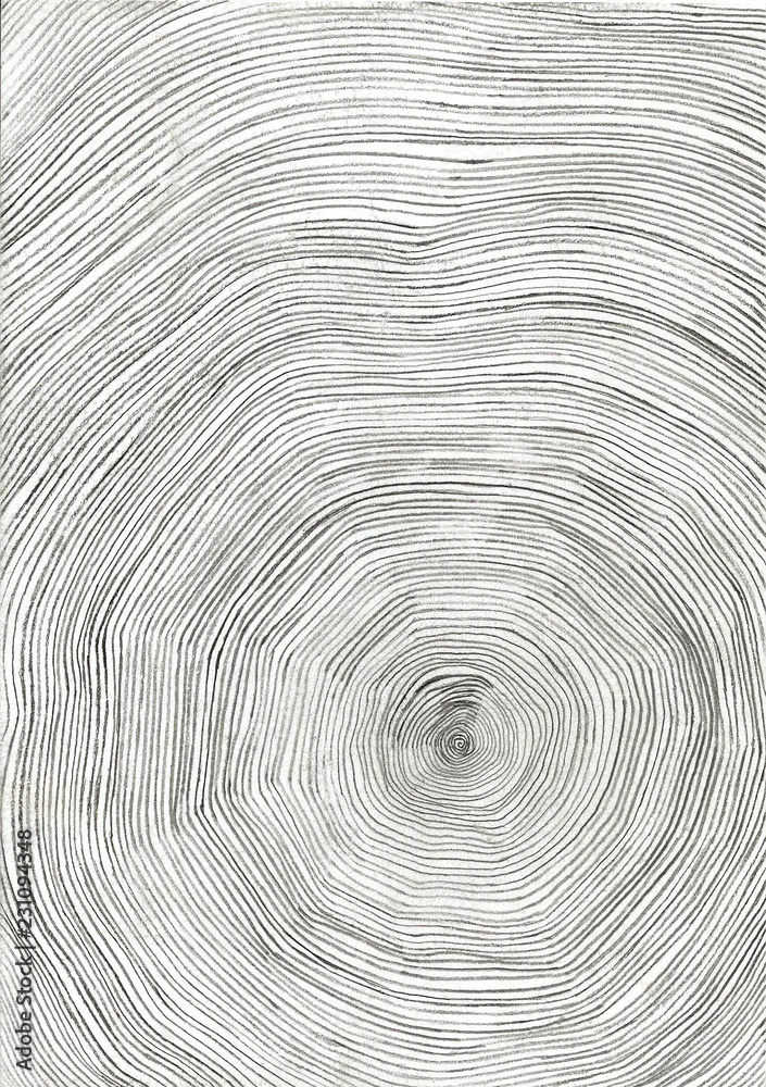 Circular Tree Ring Design Stock Illustration | Adobe Stock