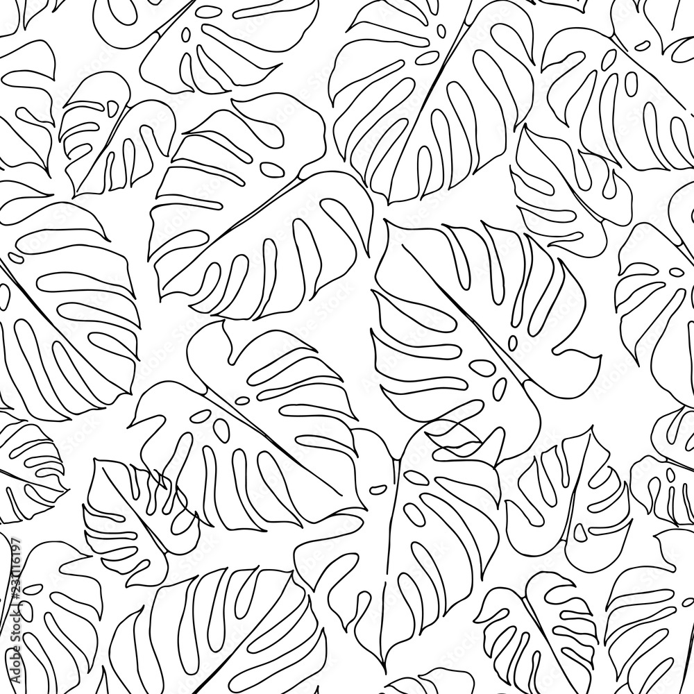Seamless Pattern With Monstera Leaves On White Background Vector