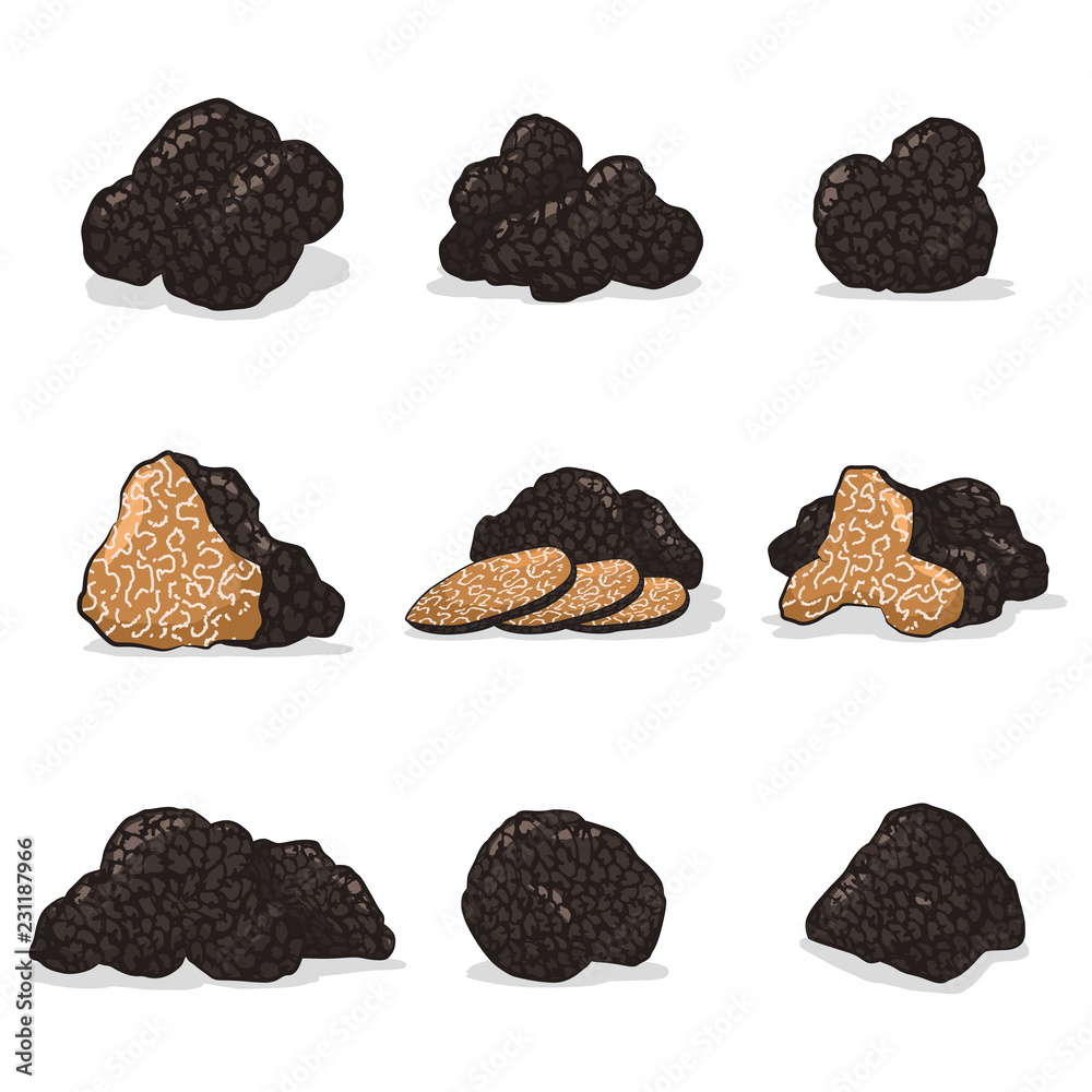 Black truffle mushroom vector cartoon set isolated on white background ...