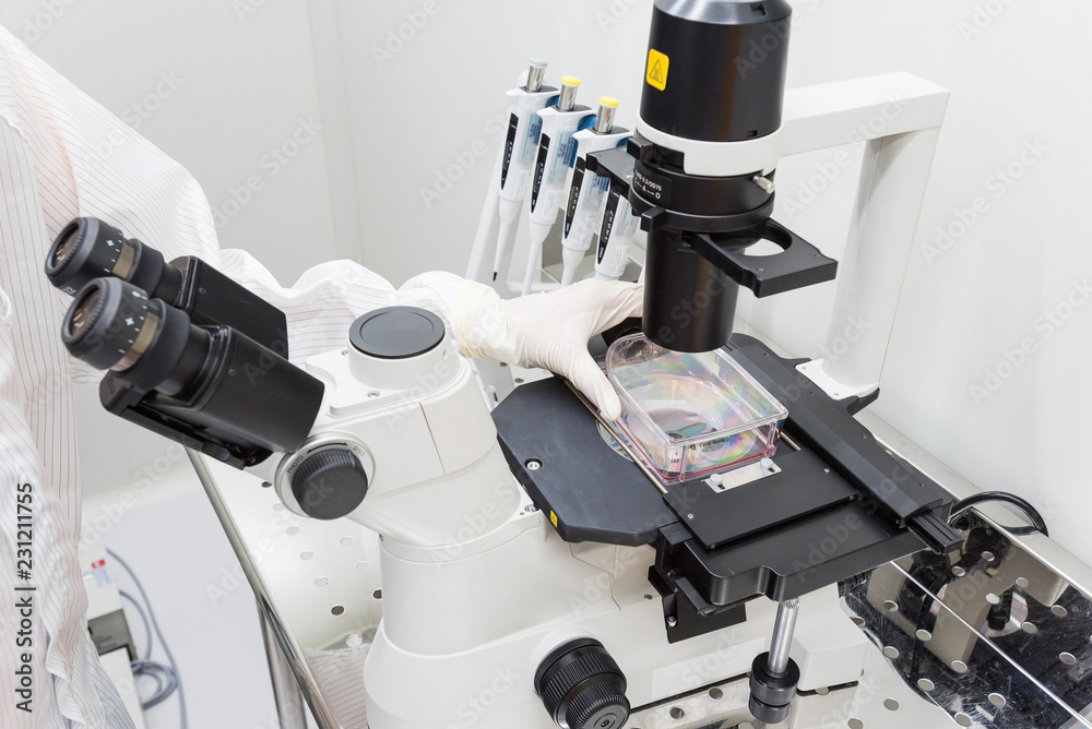 Photo & Art Print A scientist in sterile coverall gown looking cell ...