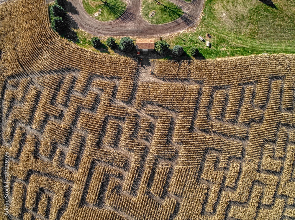 Real Maze Aerial