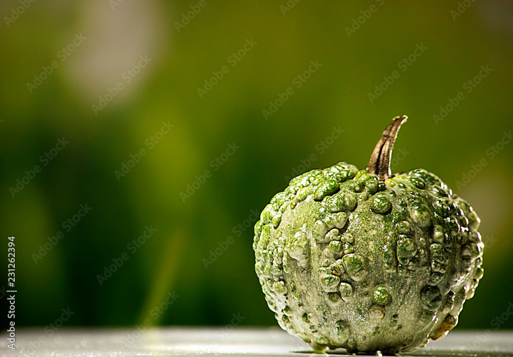 Cucurbita maxima- Maximum of cucurbita. decorative auyama Stock Photo ...