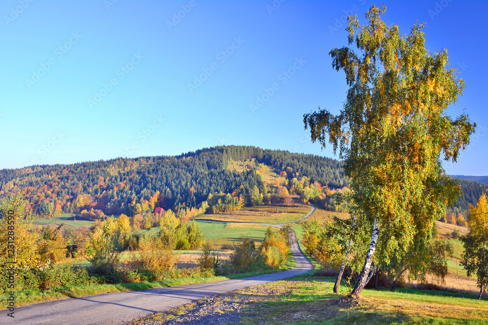 Autumn golden trees and country asphalt road, Low Beskids (Beskid Niski ...
