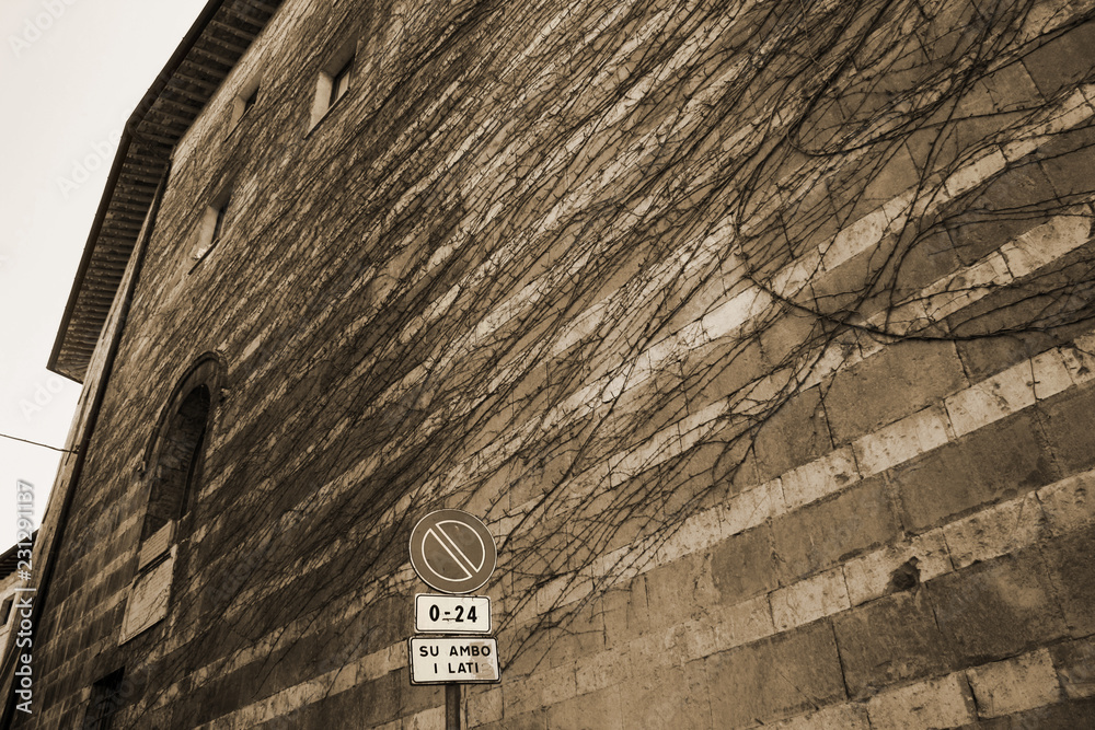 Foto de Erba rampicante su muro del centro storico di Assisi do Stock ...