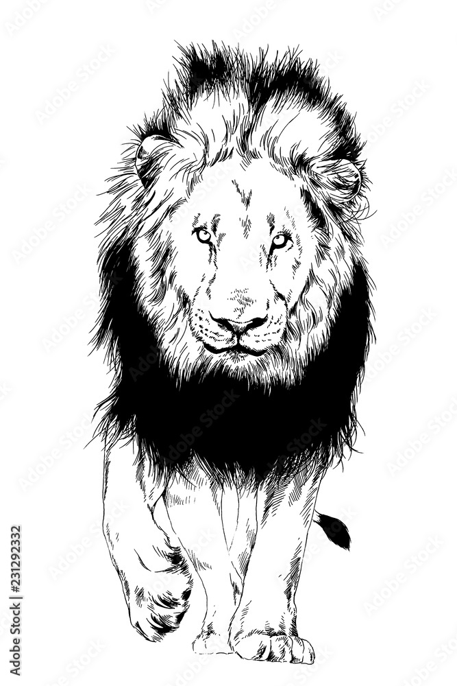 Predator Language Tattoo